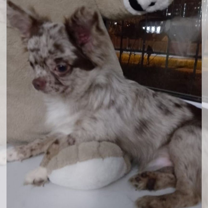 Мальчик мрамор