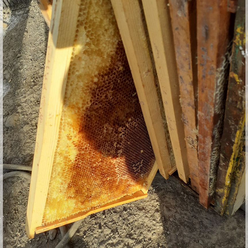 Суш для пчел