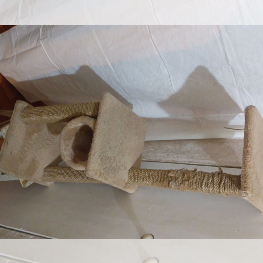 Когтеточка