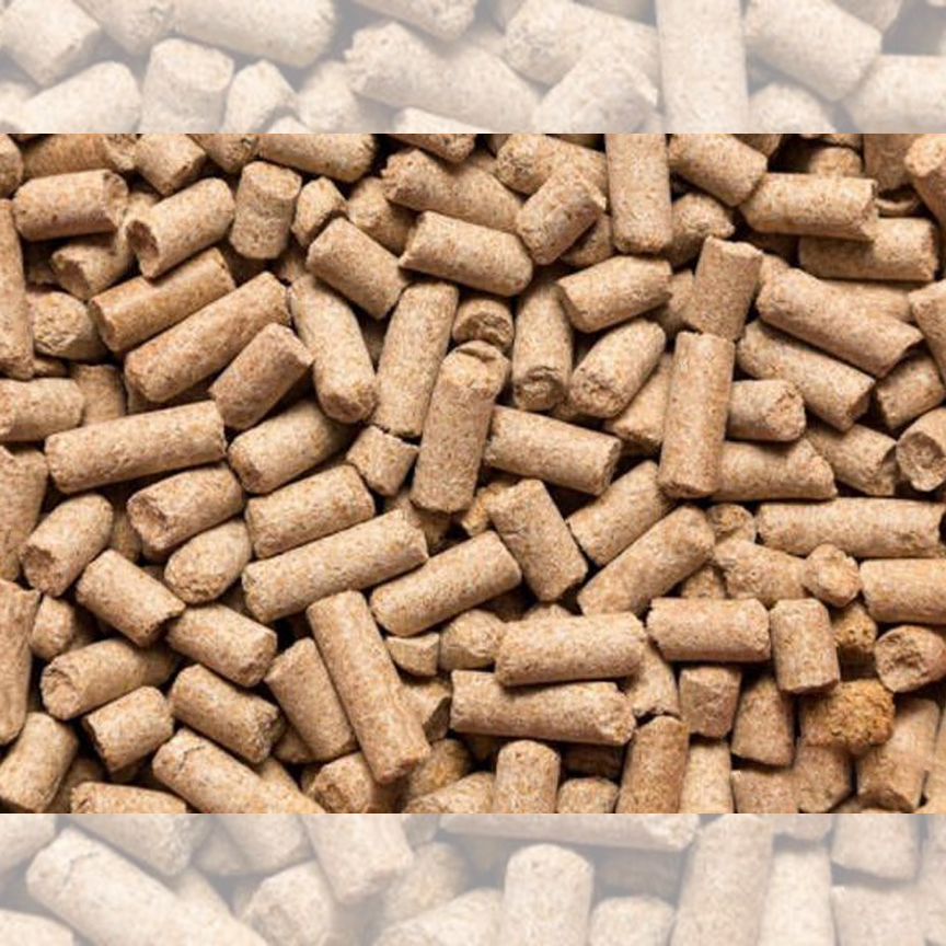 Корма для животных