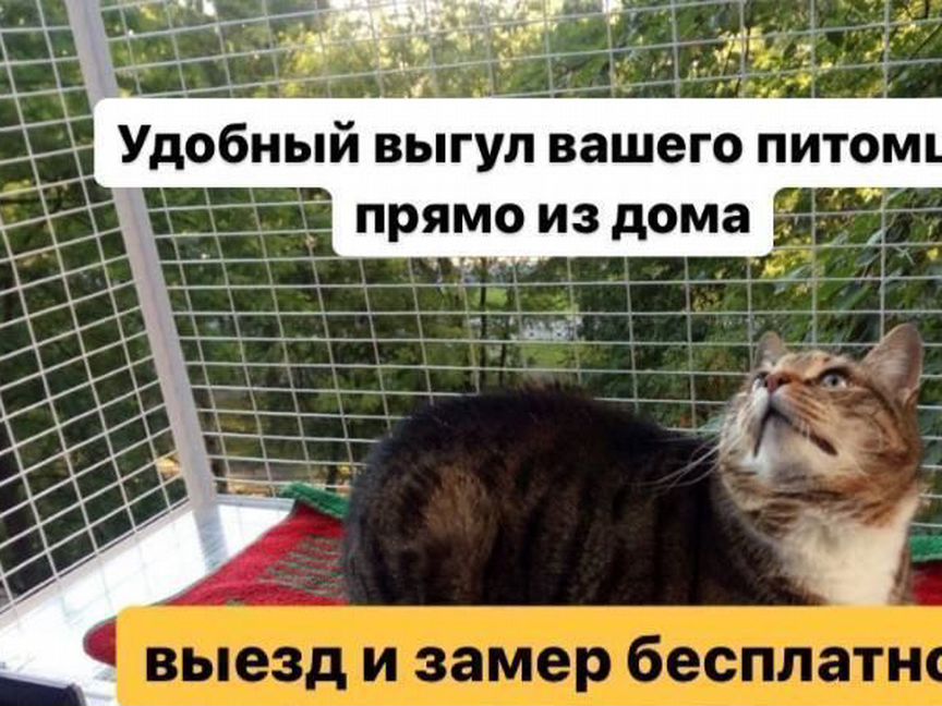 Балкончик для выгула кошки