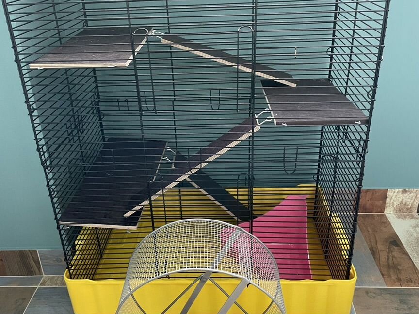 Клетка для грызунов крыс