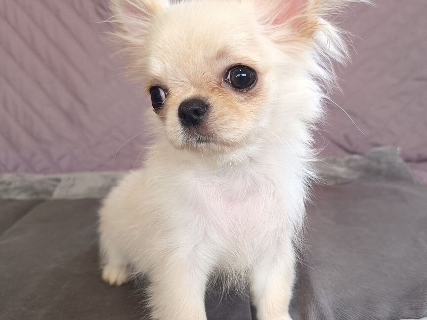 Кукольная малышка