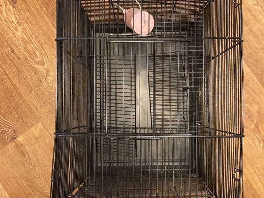 Клетка для грызунов