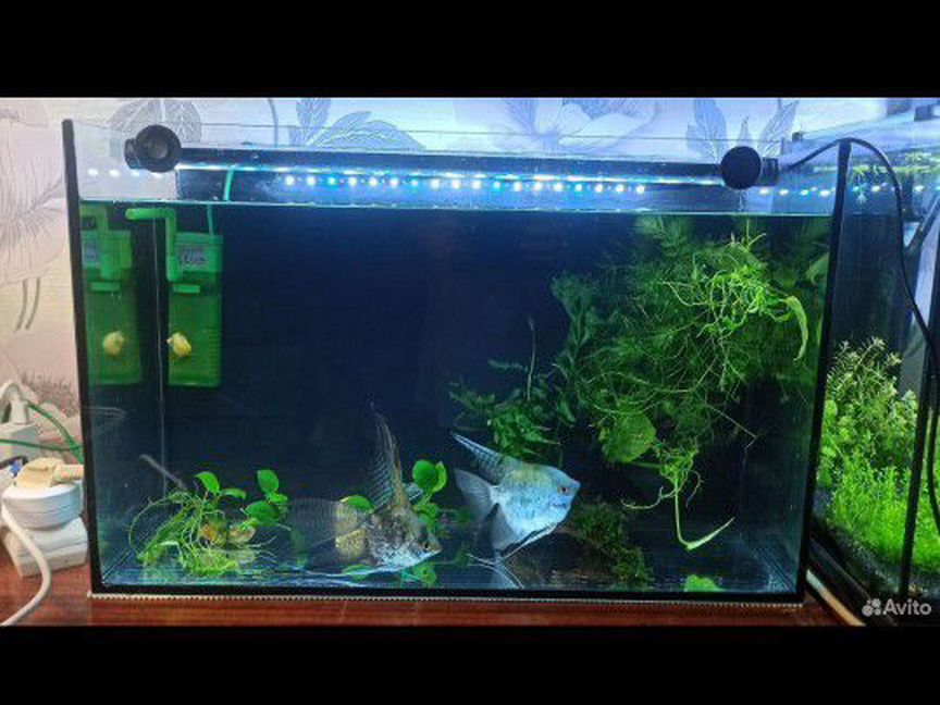 Аквариум