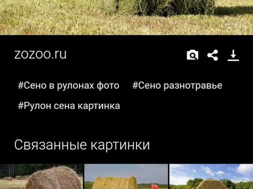 Продам сено в рулонах, россыпью