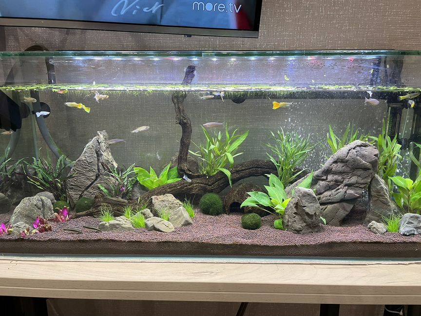 Аквариум 80 литров