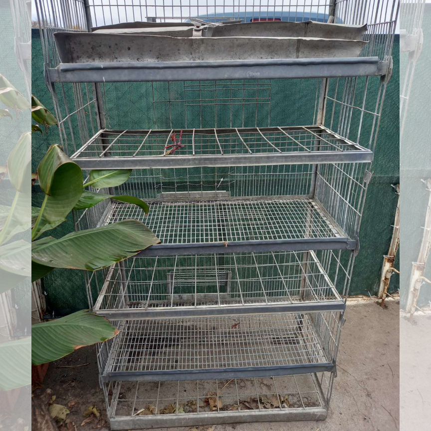 Клетка для кур и кроликов 3х ярусная