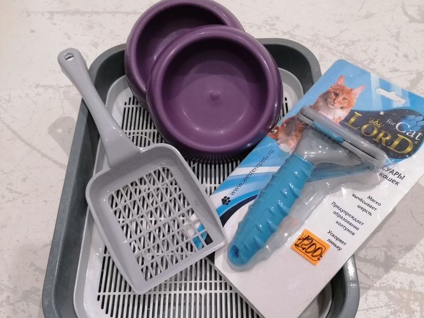Для кошек: лоток, дешеддер, лопатка, 2 кормушки