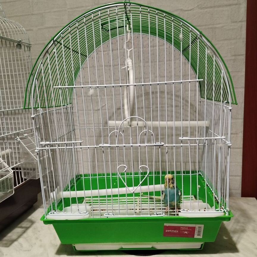 Волнистый попугай с клеткой