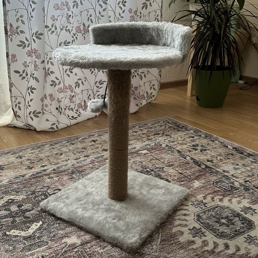 Когтеточка