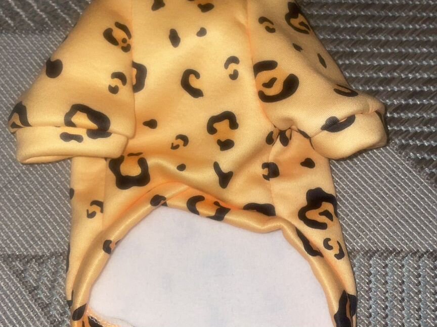 Одежда для котов