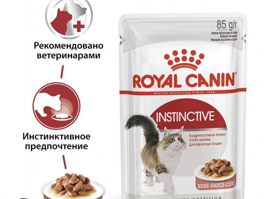 Влажный корм для кошек