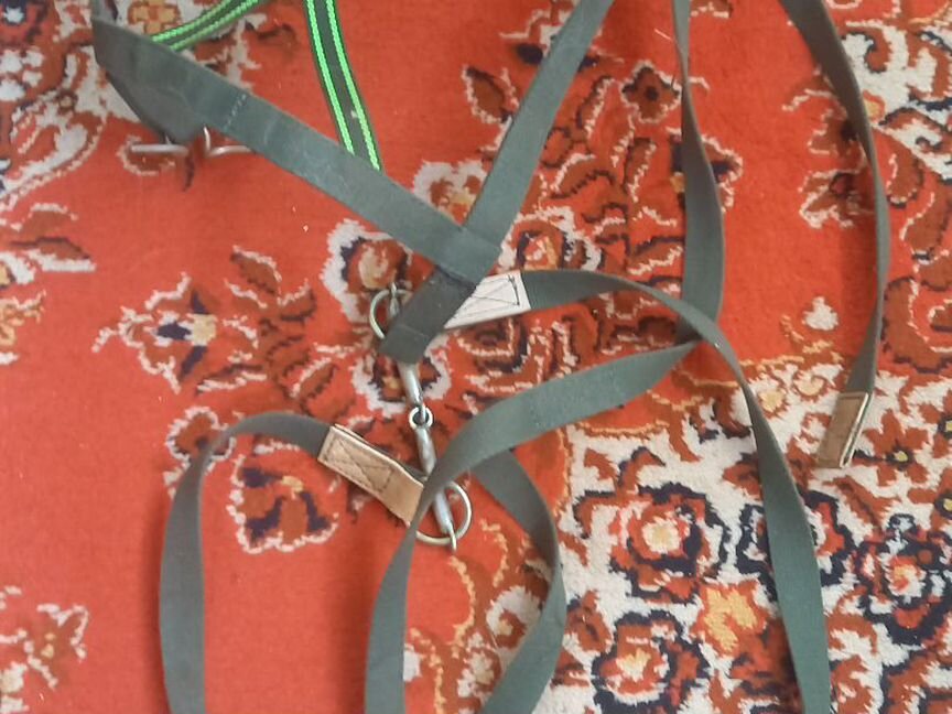 Узда для лошади, недоуздок