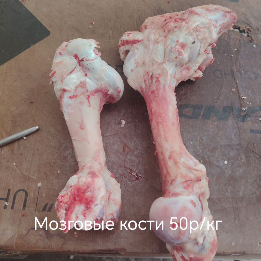 Для собак