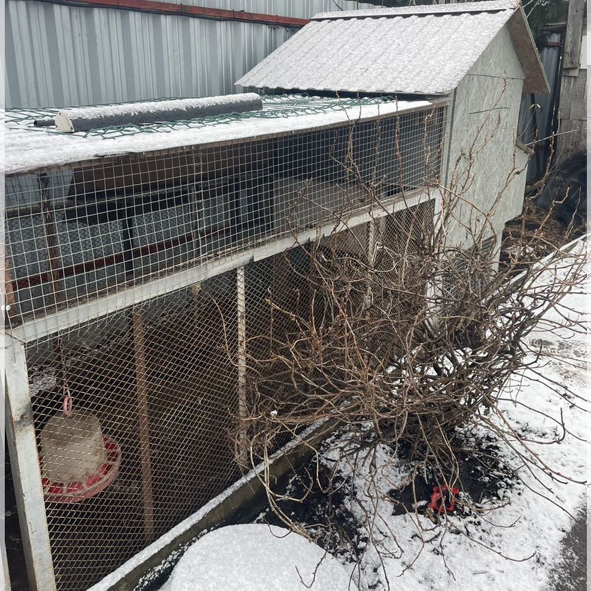 Курятник на 10 кур, летний, бу один сезон