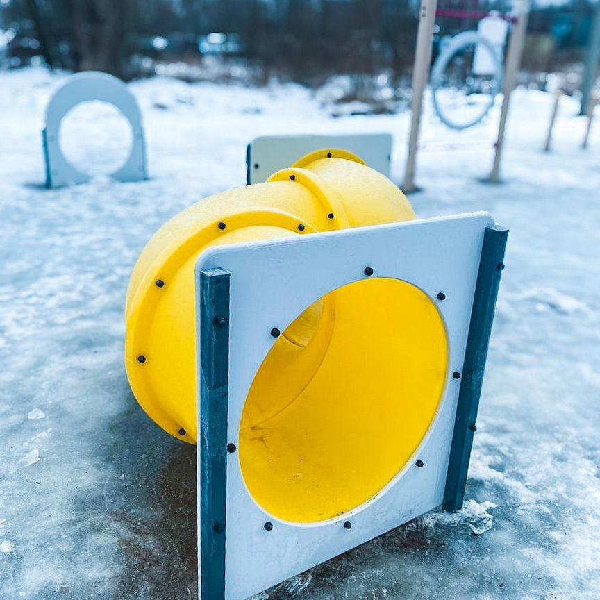 Площадки для выгула и дресировки собак. маф