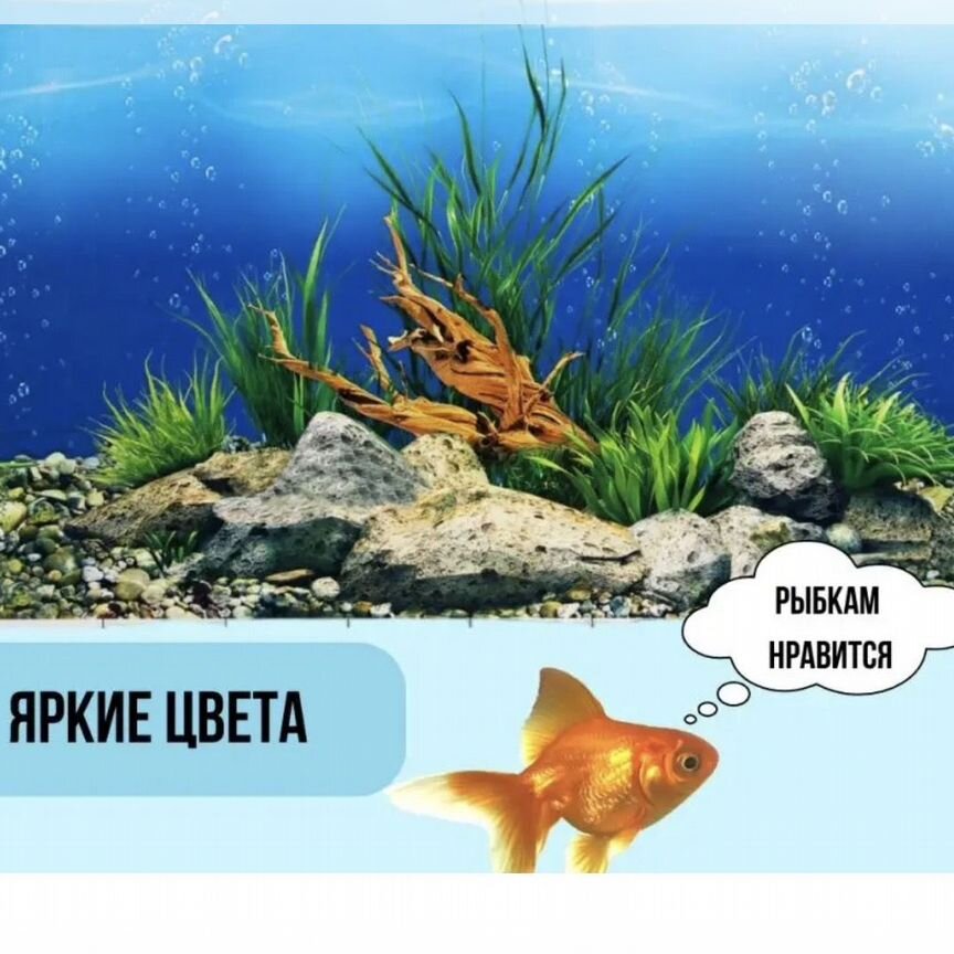 Новый фон для аквариума