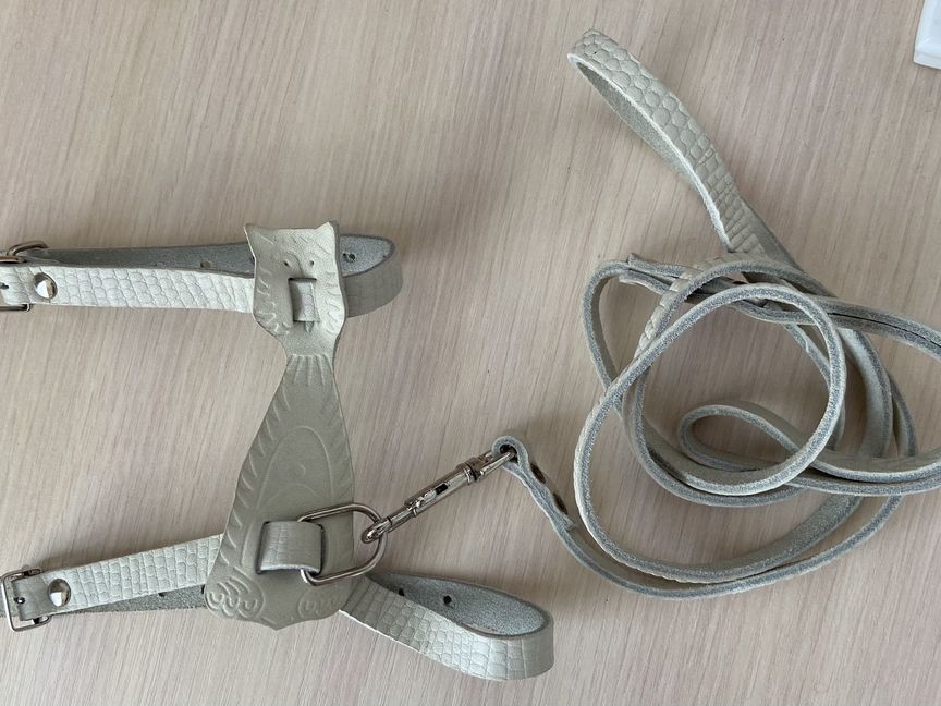 Шлейка кожаная с поводком для маленьких животных