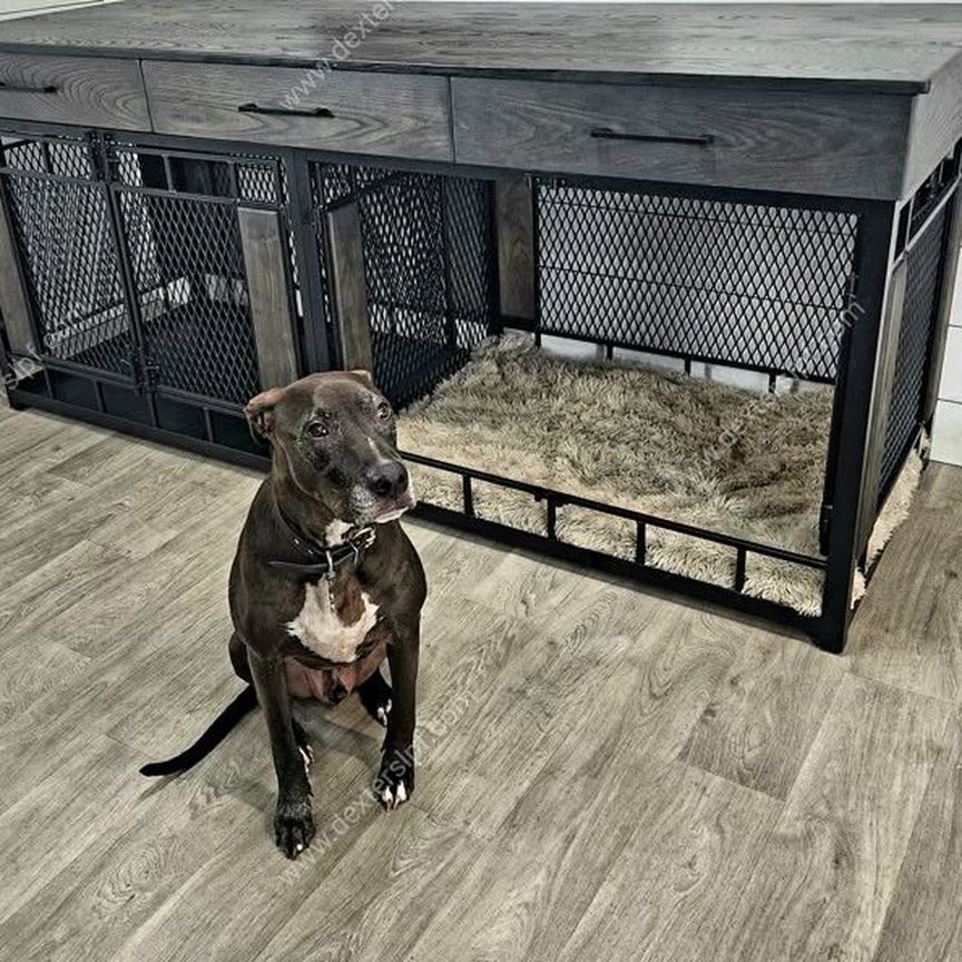 Изготовление вольеров для собак