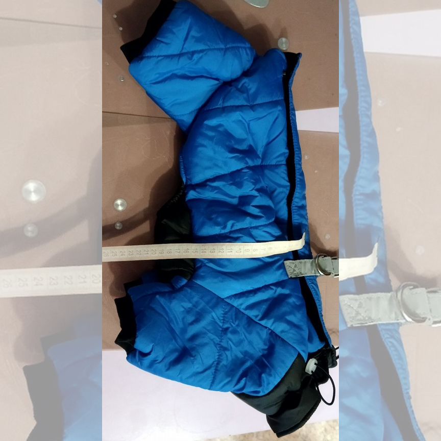 Одежда для собак