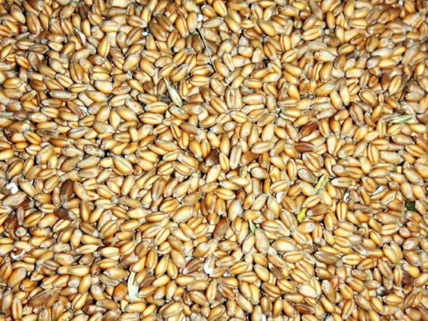 Зерносмесь, доставка