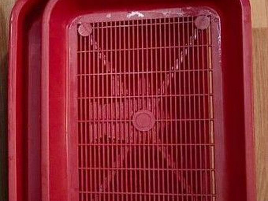 Домик для кошки с когтеточкой и лоток