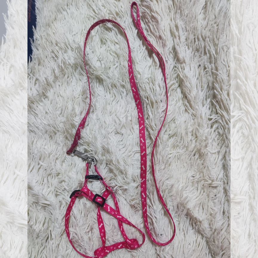 Поводок для маленьких собак или крупных кошек