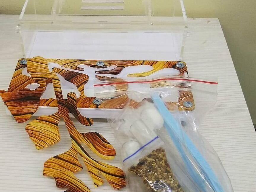 Муравьиная ферма 18*17 см Дерево с комплектом для