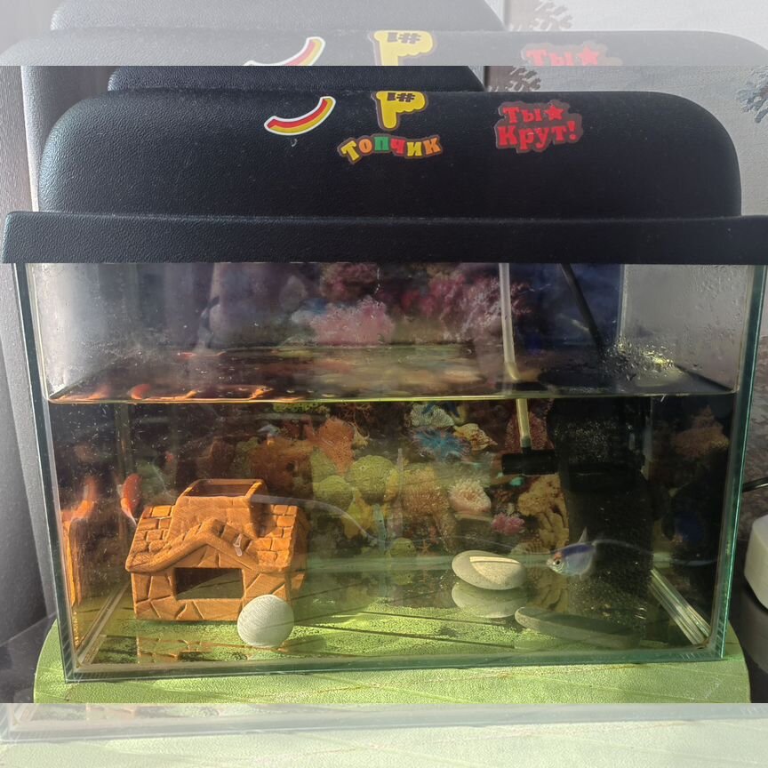 Аквариум с рыбками