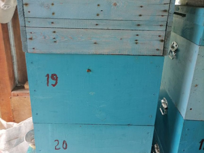 Товары для пчеловодства