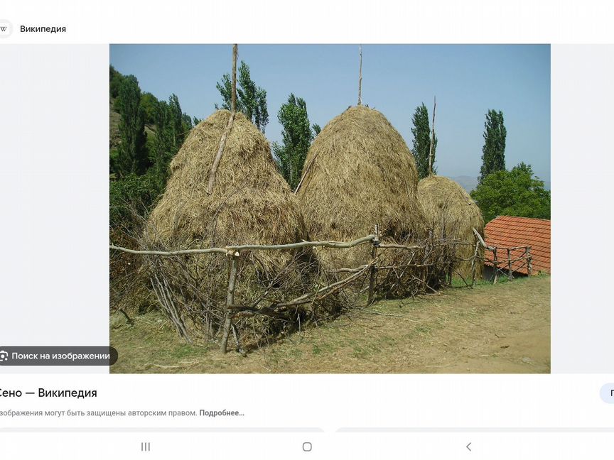 Продам сено солома