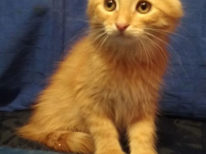 Маленький мальчик