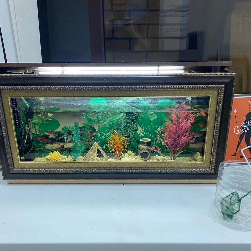 Аквариум с рыбками