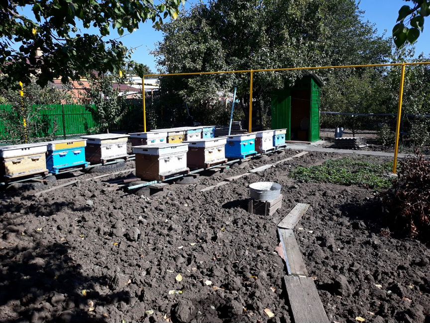 Улики, рамки, рамконосы