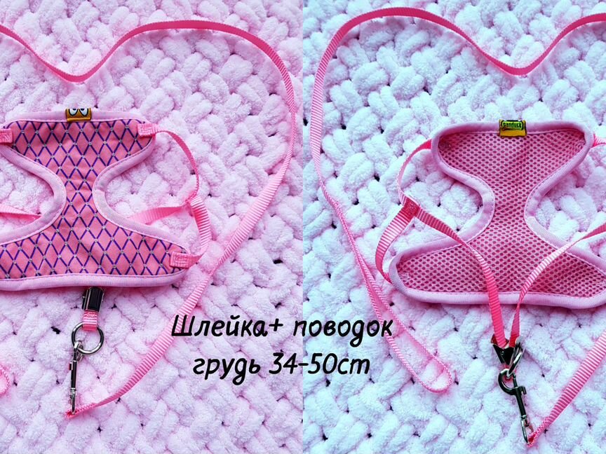Новая шлейка, новый поводок, подставка под миски