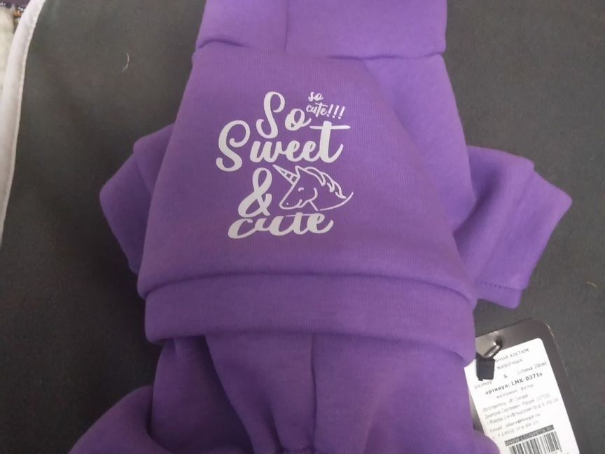 Одежда для собак мелких пород