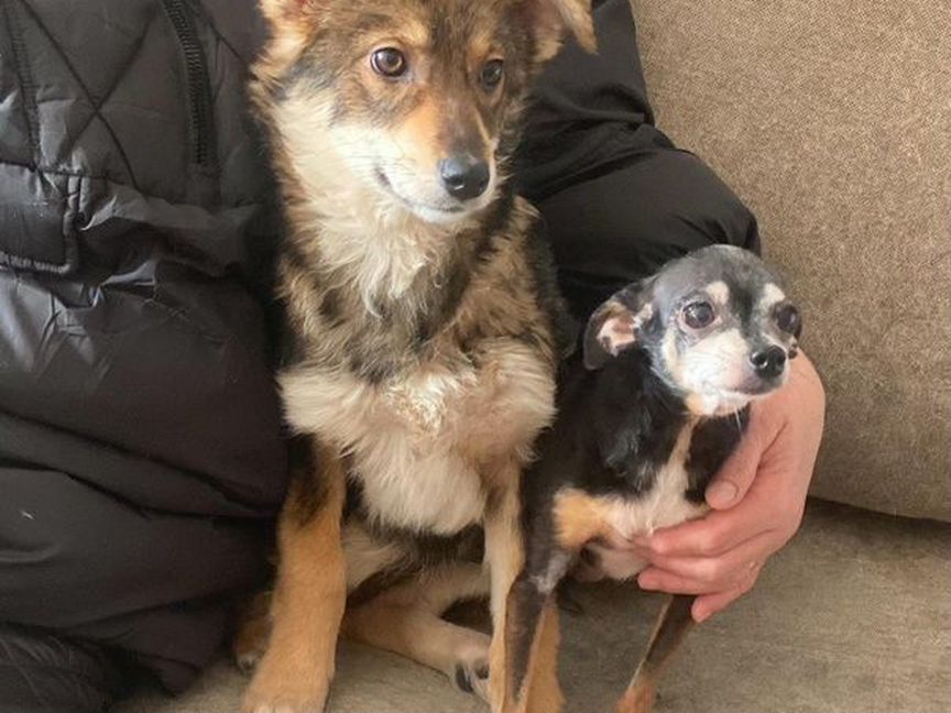 Малыш Твикс