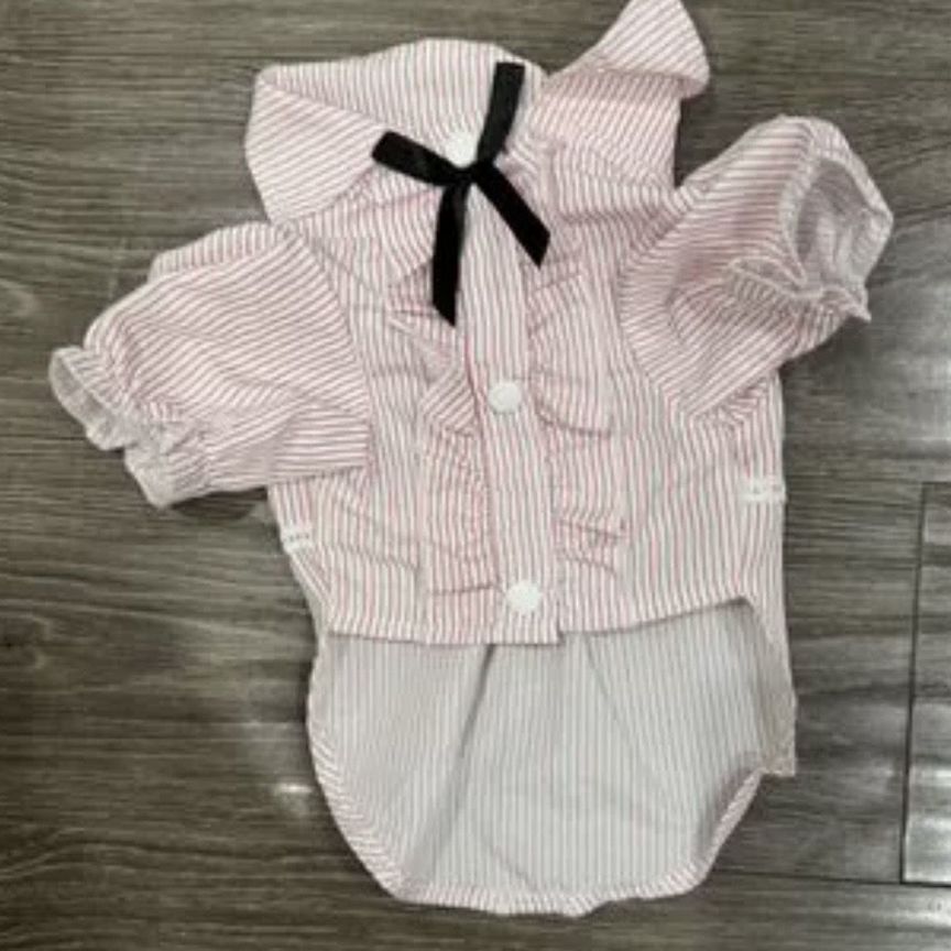 Одежда для маленьких собак