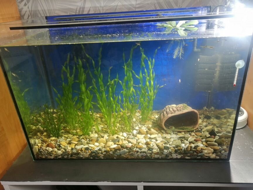 Аквариум 75л