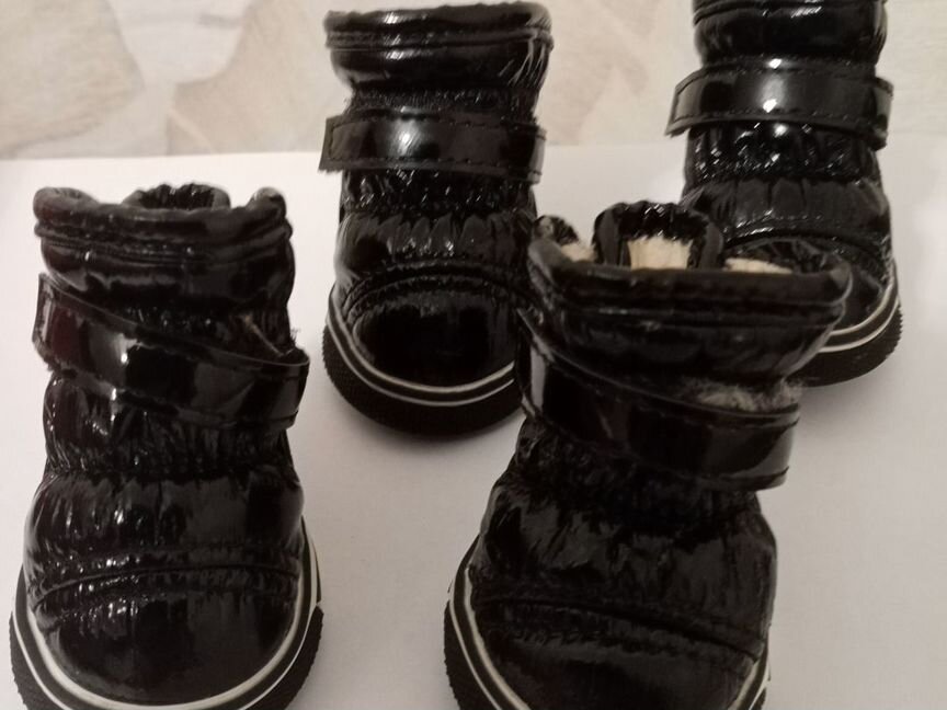 Обувь для маленьких собак