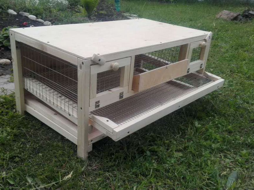 Клетка для перепелов