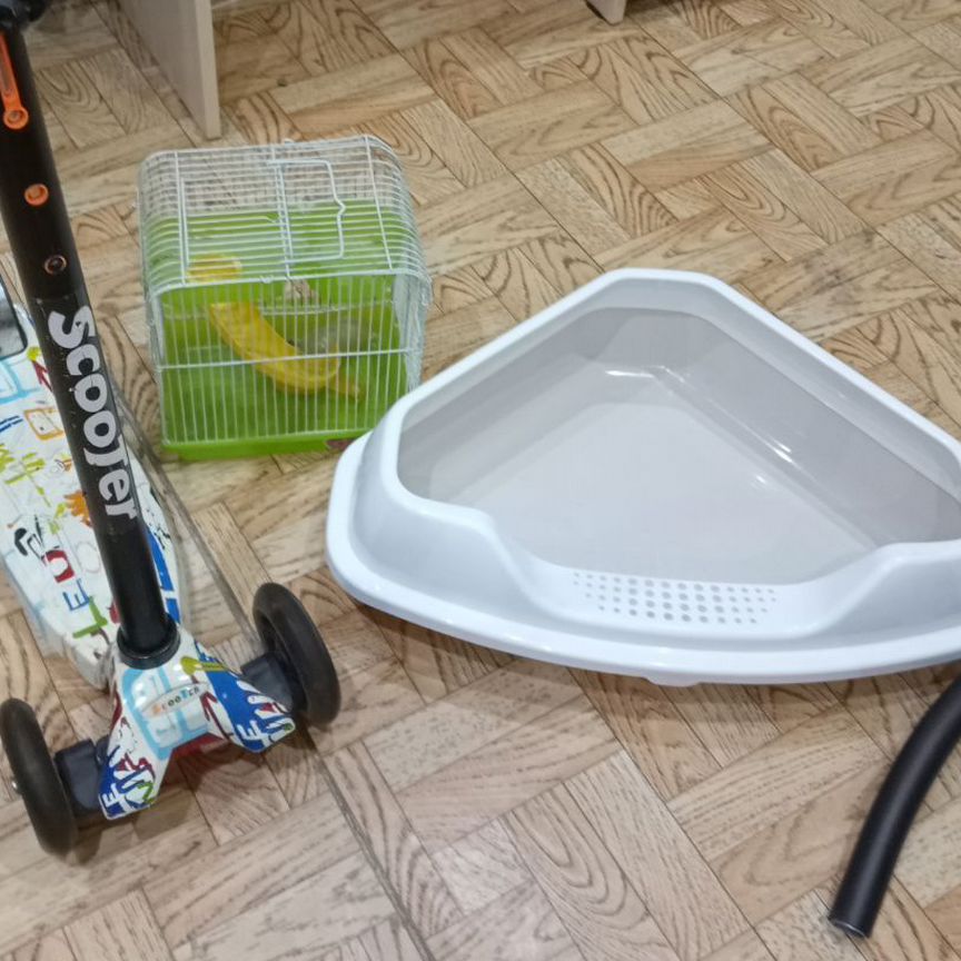 Лоток для кошек, клетка для хомяка, самокат детск