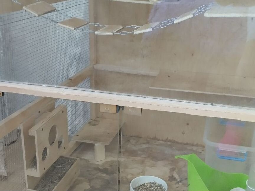 Продам витрину для шиншил