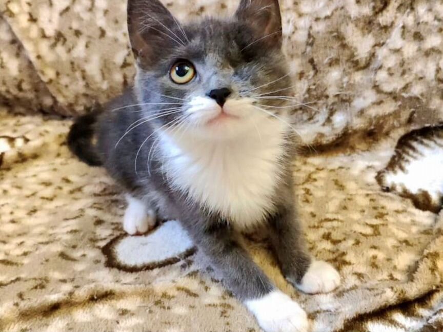 Особенная девочка 2.5 мес в добрые руки бесплатно