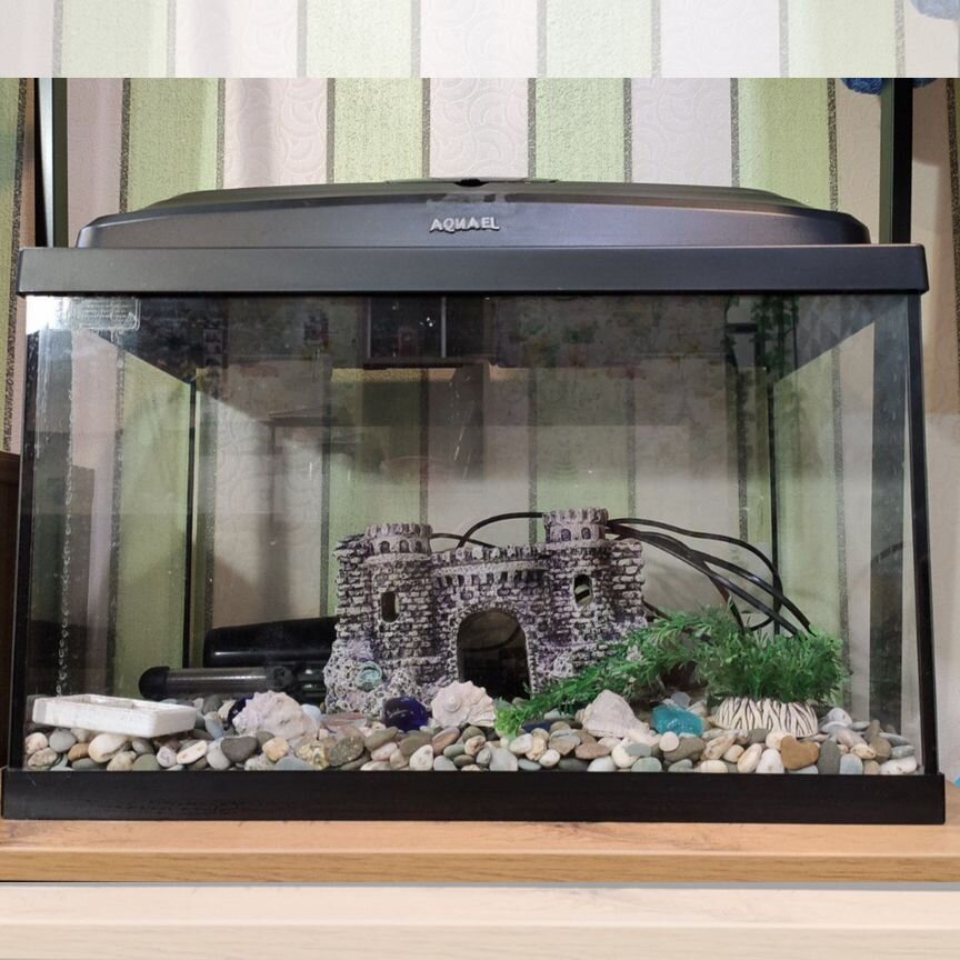 Аквариум