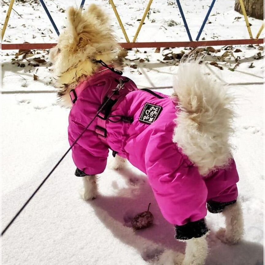 Зимний комбенизон для мелких собак