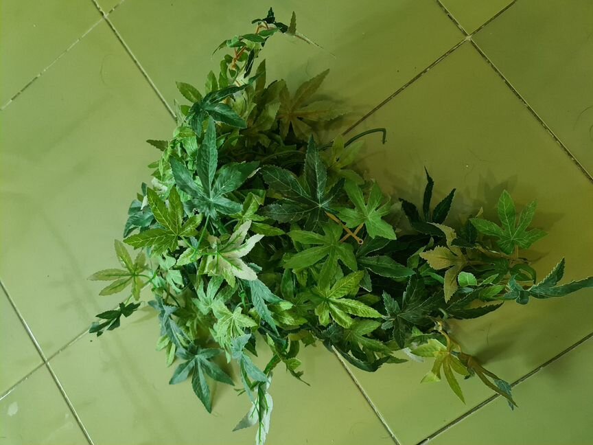 Искусственные растения для аквариума