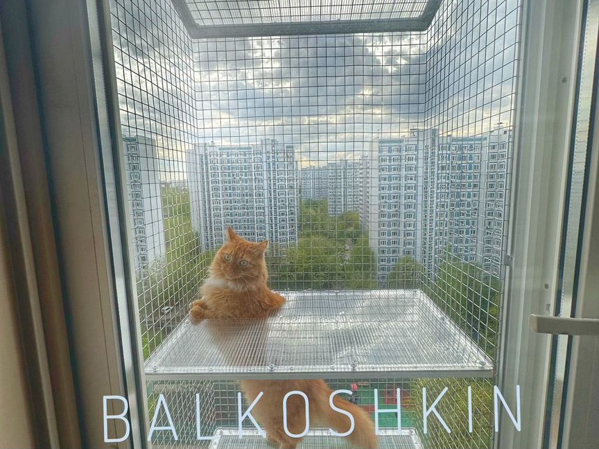 Балкон для кота и антикошка, выгул на окно