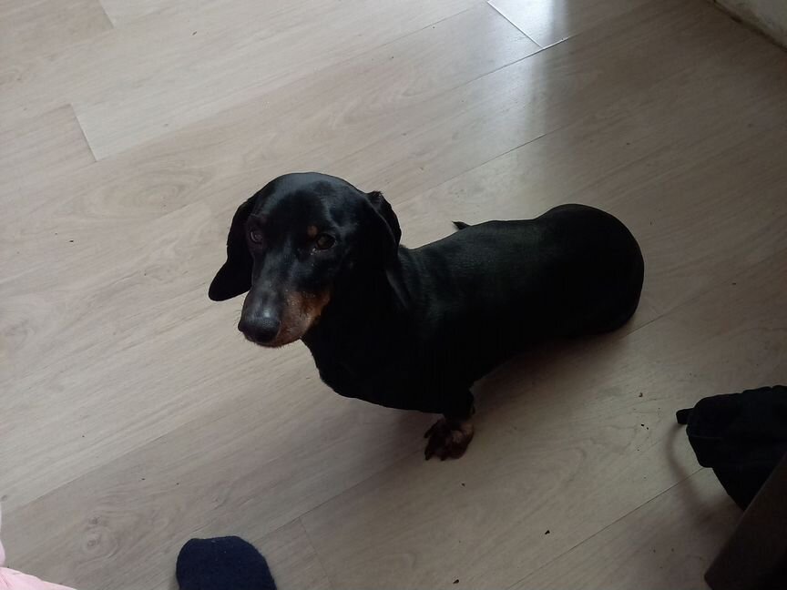 Кавалер ищет даму